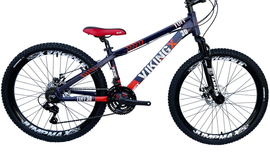 Tudo sobre a bike Vikingx - Bike Registrada